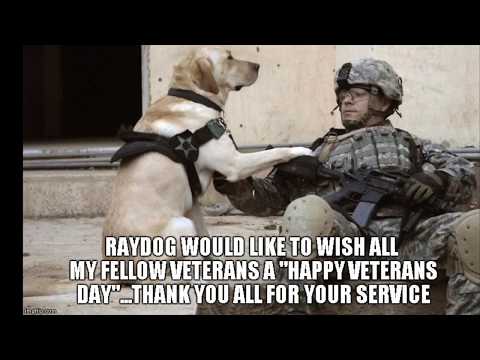 Veterans Day Memes Images - Funny Meme Collection in HD