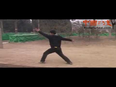 learn bajiquan online--baijiquan form baji jia 八极架 practice