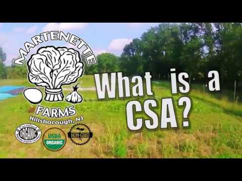 What is a CSA?