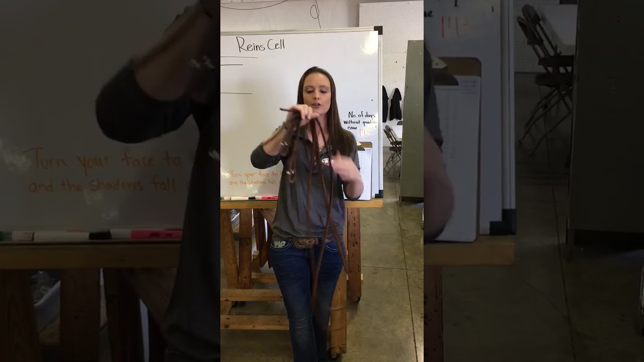 Stacy Westfall Split Horse Reins