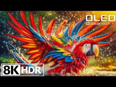 4k 60frm video animal
