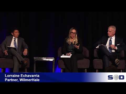 Financial Disclosure and Accounting Fraud