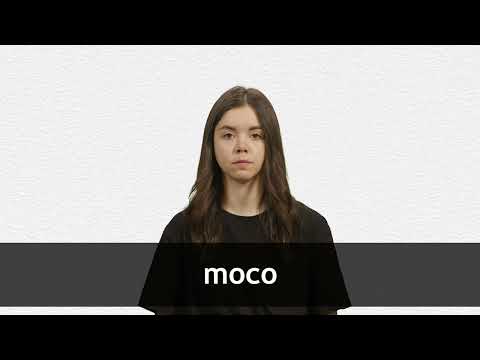 English Translation of “MOCO” | Collins Spanish-English Dictionary