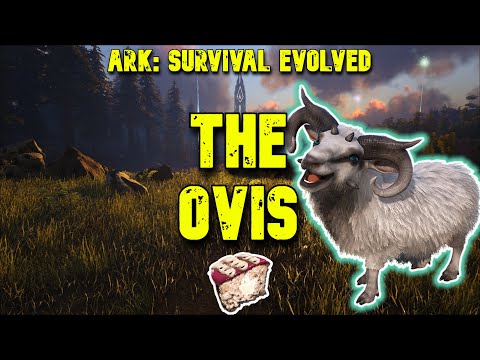 Steam Community :: Video :: Ark: Survival Evolved. Taming the Ovis!
