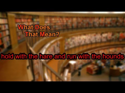 What does hold with the hare and run with the hounds mean?