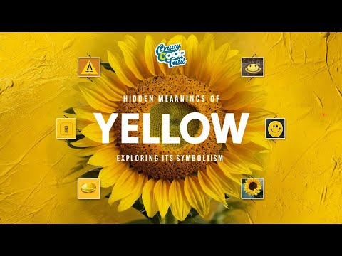 The Hidden Meanings of Yellow Exploring its Symbolism | The Power of Yellow