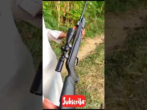 Excellent ???? Gamo shadow1000 Airgun Review | Dove Hunting Best Powerful Springer Airgun