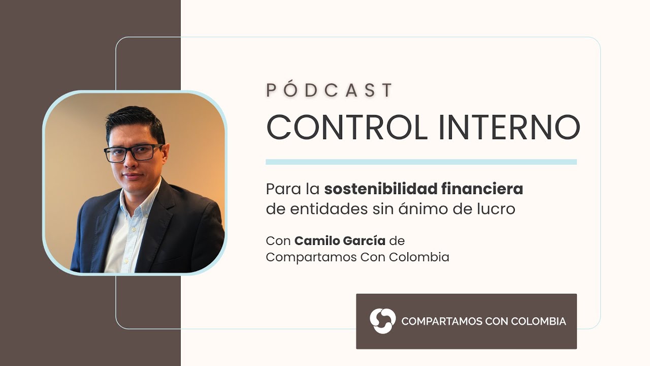 Control Interno | Sostenibilidad Financiera en Entidades Sin Ánimo de Lucro en Colombia