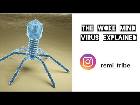 The Woke Mind Virus Explained – Remi Tribe