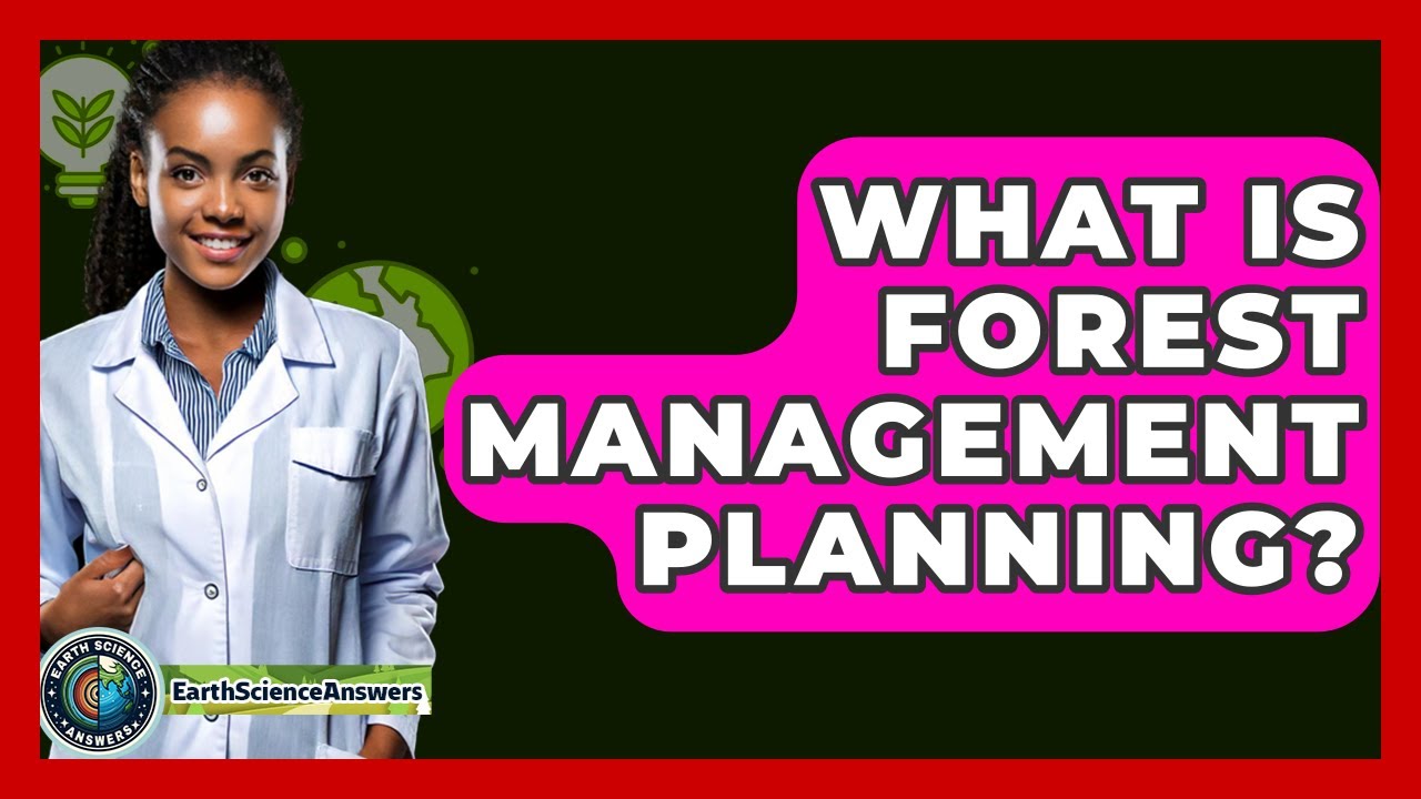 What Is Forest Management Planning? - Earth Science Answers