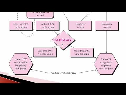 Chapter 6 "Union Organizing"