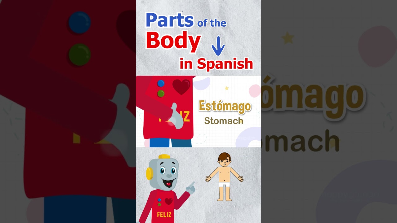Parts of the body in spanish  #bilingualbaby#spanishlearning #learning #englishforkids #reading