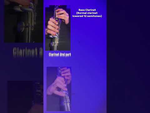 #sticky by #tylerthecreator on #clarinet #shorts #musician