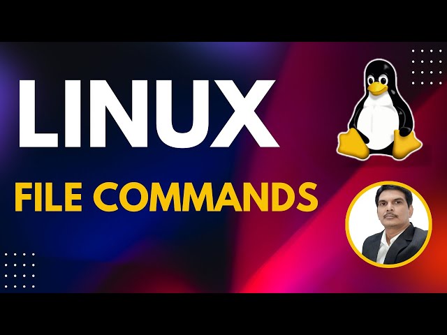 Essential Unix/Linux File Commands for Testers: A Comprehensive Guide ...