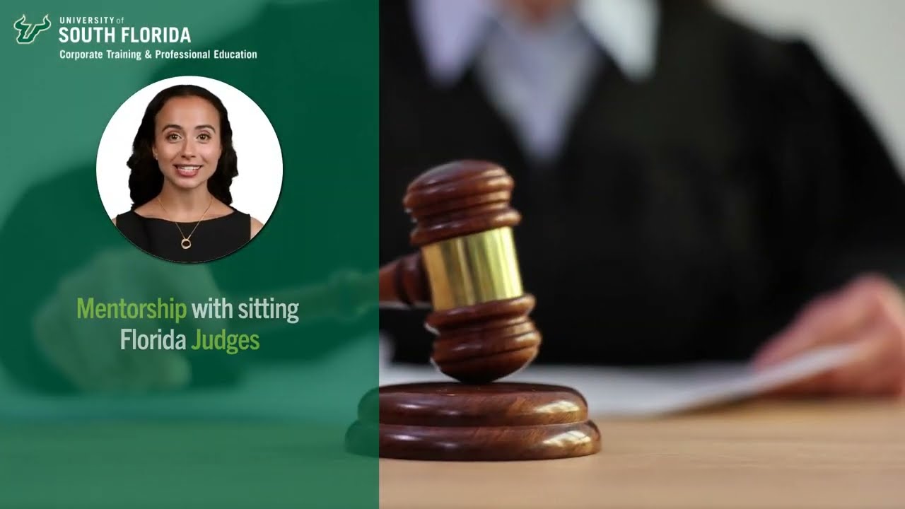 Meet Your Instructors: Judges | USF Paralegal Certificate Program