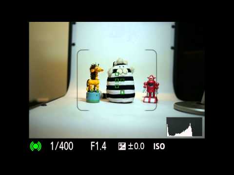Sony Alpha 7 II Subject Tracking Sample #2