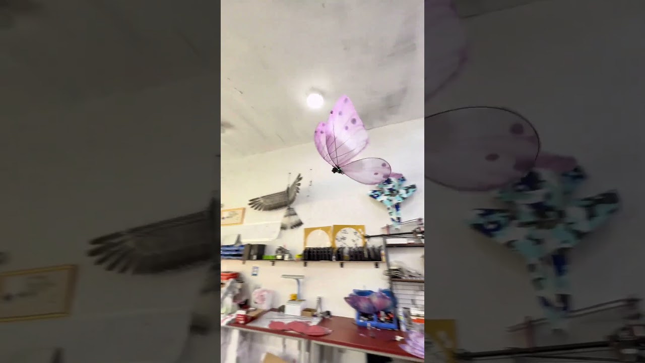 the remote controlled butterfly #butterfly