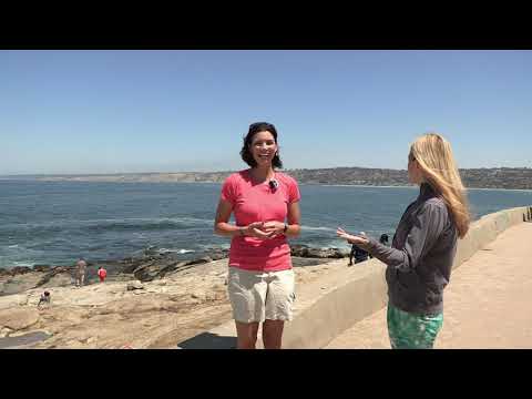 Marine Mammal Protection Act