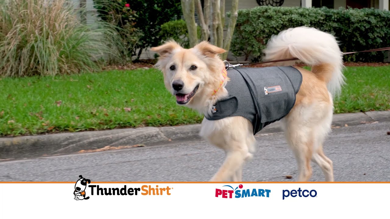ThunderShirt - 30 sec Infomercial 2021