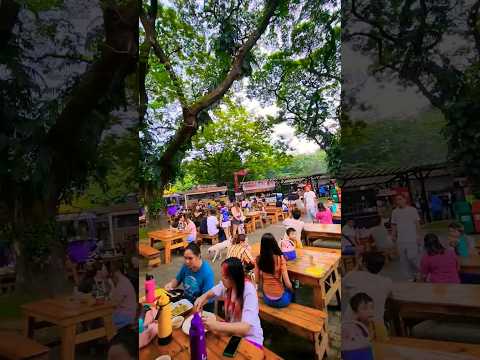 UP FOOD HUB /Gyud Food 😋 #ytshorts #updiliman #upfood #foodie #foodlover #minivlogshorts #wheretoeat
