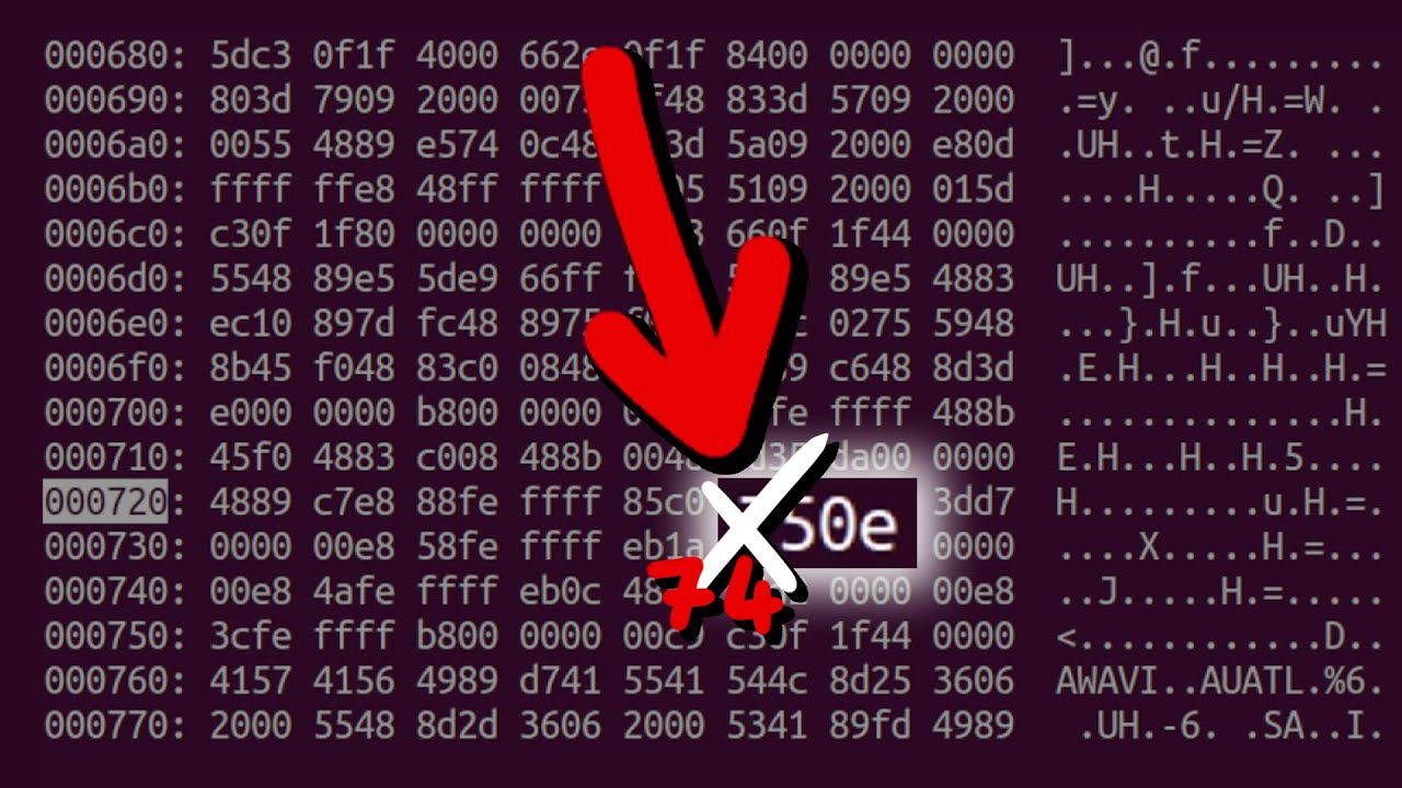 Patching Binaries (with vim, Binary Ninja, Ghidra and radare2)