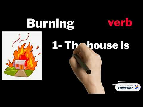 Reading Street Fire Fighter Vocabulary