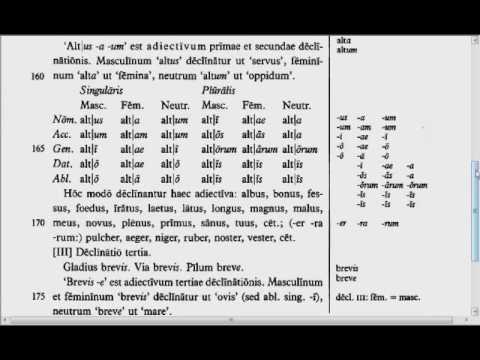 Lingua - 12.G - Reading Tutorial