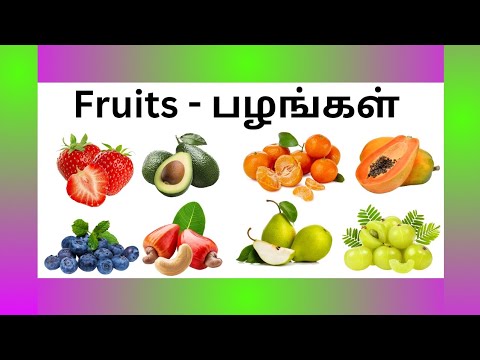 41 Fruits Name | பழங்களின் பெயர்கள் 🥝🍈🥭🍊🍉🍎🍒🍍🍌 | Learning Fruits Name in Tamil English | Hey Kutties