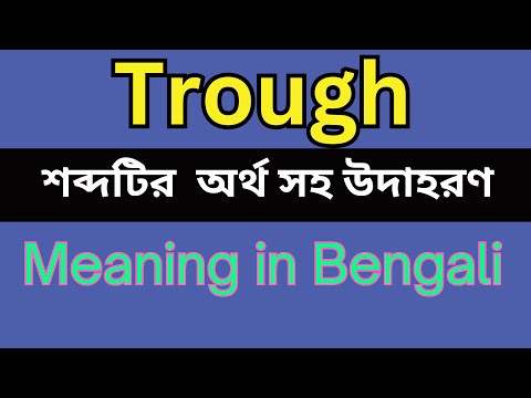 Trough Meaning In Bengali /Trough mane ki