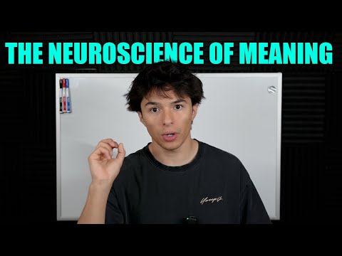 How the Brain Reveals the World’s Inherent Meaning