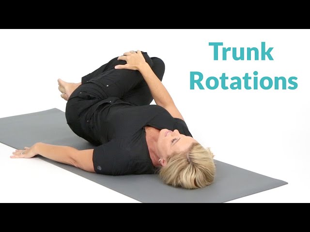 How to Perform Trunk Rotation: Correct Form, Tips, Technique ...