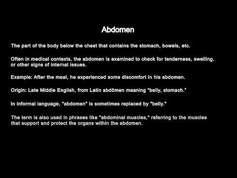 Abdomen Explained: Anatomy, Medical Insights, and Word Origins