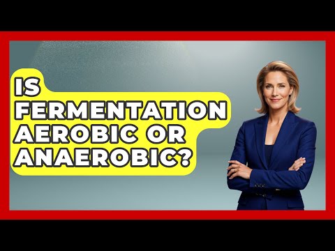 Is Fermentation Aerobic Or Anaerobic? - Biology For Everyone