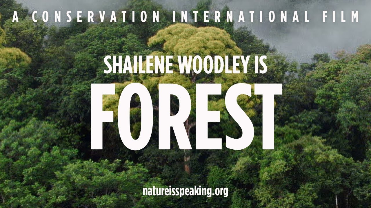 Nature Is Speaking: Shailene Woodley is Forest