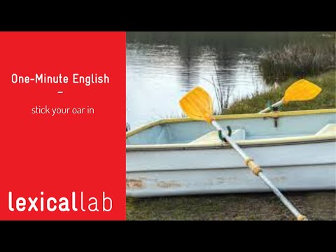 ONE-MINUTE ENGLISH: stick your oar in LEARN WITH LEXICAL LAB
