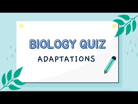 Adaptations Quiz