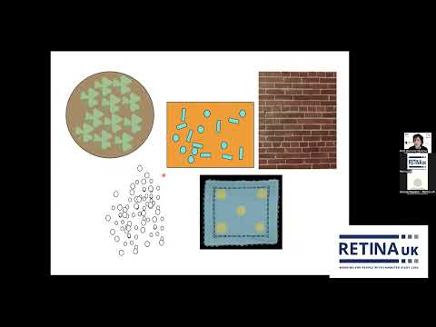Webinar: Dominic Ffytche - Visual hallucinations and Charles Bonnet syndrome