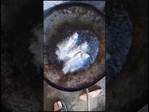 Frita de mojarras #music #song #newmusic #pyfツ #pescaderia #fishcatching #fish