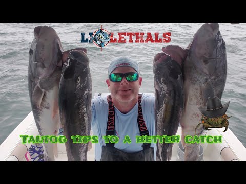 Tautog fishing tips for a better catch