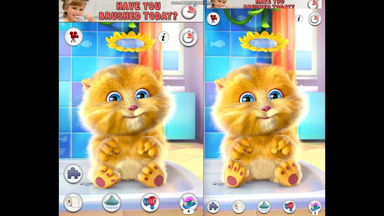 Talking Echo: Talking Ginger (Windows Store) & Talking Ginger (Google Play Store)