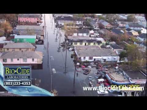 Mold Cleaning Products help millions at risk from water damage...THIS IS A MUST WATCH VIDEO