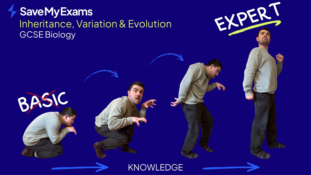 Inheritance, Variation & Evolution: AQA GCSE Biology