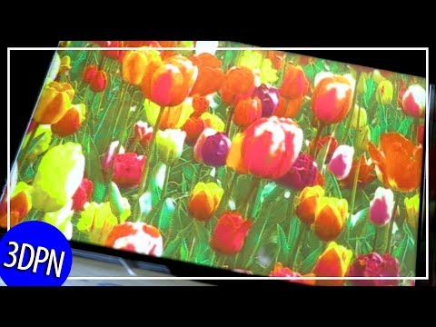 🎨 Color Lithophane Tulips・Free STL File for ・Cults