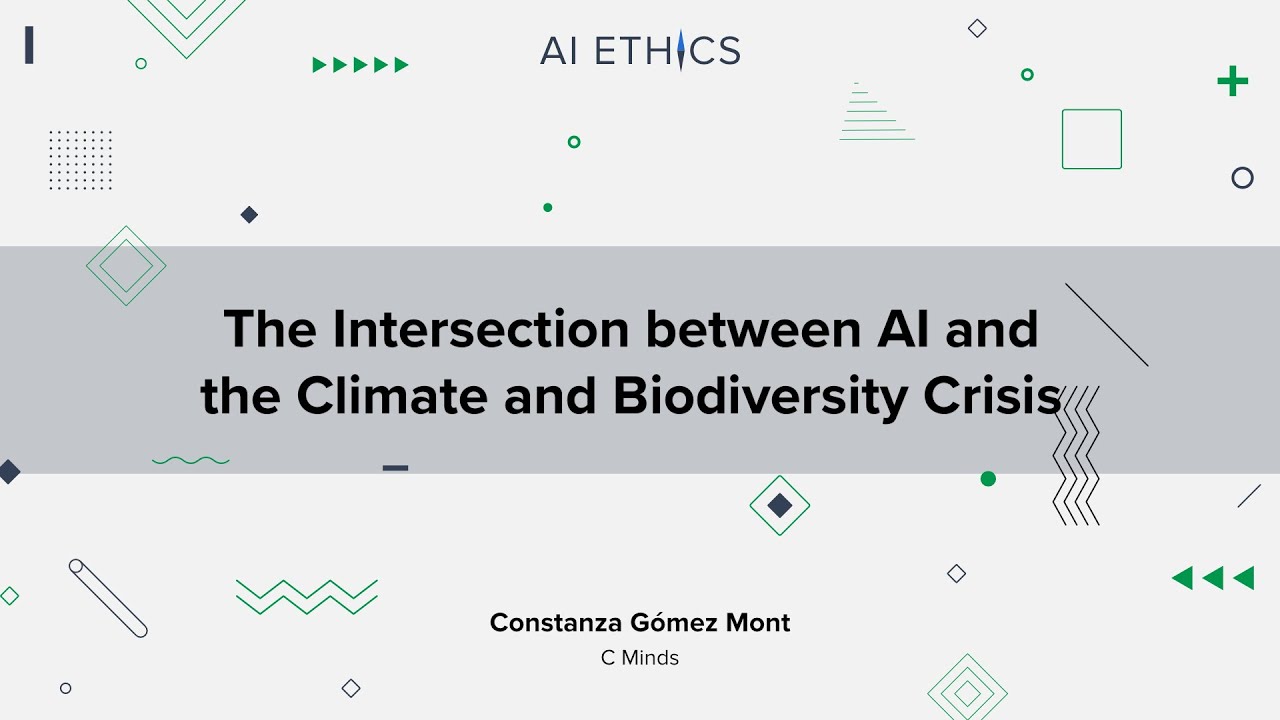 The Intersection between AI and the Climate and Biodiversity Crisis (AI Ethics: Global Perspectives)