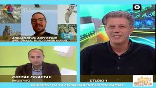 Καλημέρα Θεσσαλία | Θεσσαλία Τηλεόραση - thessaliatv.gr