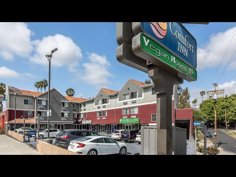 Comfort Inn Los Angeles near Hollywood | Los Angeles (CA), United States | Hotel Review🏠
