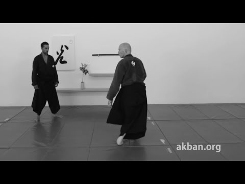 All articles and videos on: Kihon - The basic techniques | AKBAN