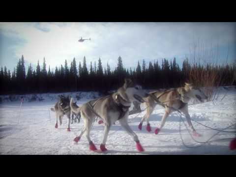 Broken record, broken dreams: An Iditarod story