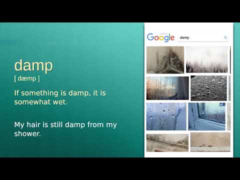 Damp : B2 level english vocabulary lesson, www.LipLix.com