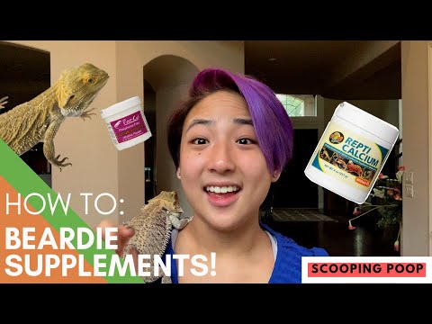 BEARDED DRAGON SUPPLEMETS 101 // + Importance of UVB